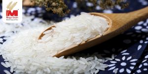 The Global Trade of Rice: From Manufacturers to Exporters - Our Updated ...